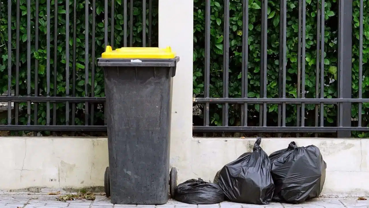 "Vous n’avez pas honte ?" : un enfant de 4 ans verbalisé de 145 euros ...